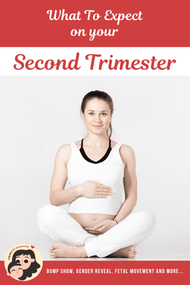 What To Expect On Your Second Trimester of Pregnancy - Tribobot x Mom ...