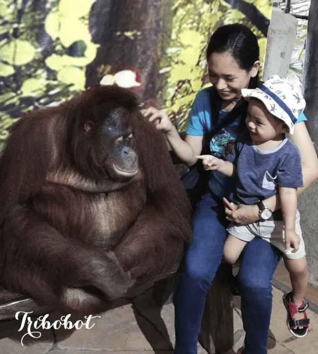 All You Need to Know Before Going to Avilon Zoo Rizal with a Toddler ...