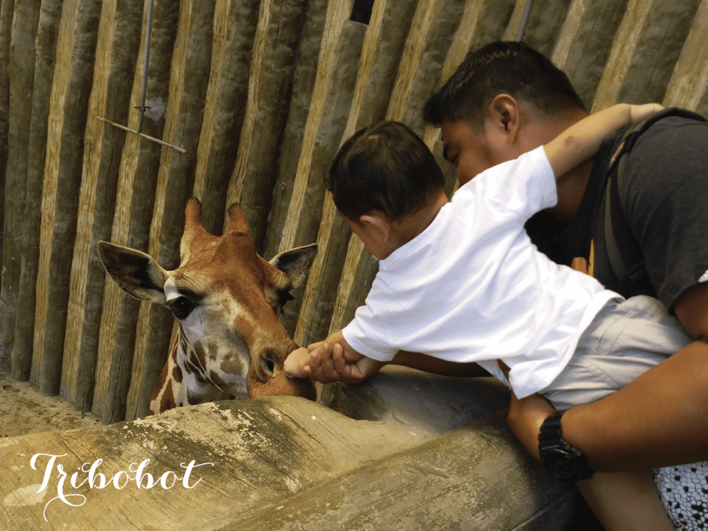 All You Need to Know Before Going to Avilon Zoo Rizal with a Toddler ...