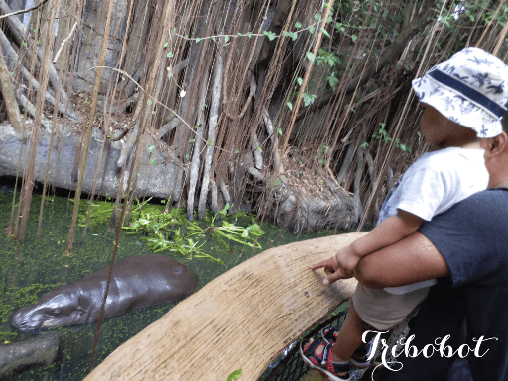 All You Need to Know Before Going to Avilon Zoo Rizal with a Toddler ...