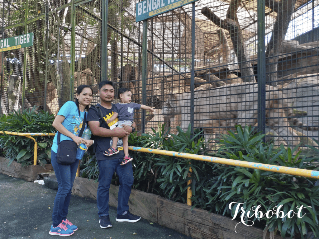 All You Need to Know Before Going to Avilon Zoo Rizal with a Toddler ...