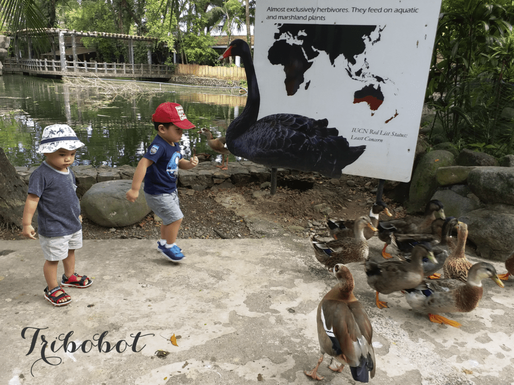 All You Need to Know Before Going to Avilon Zoo Rizal with a Toddler ...