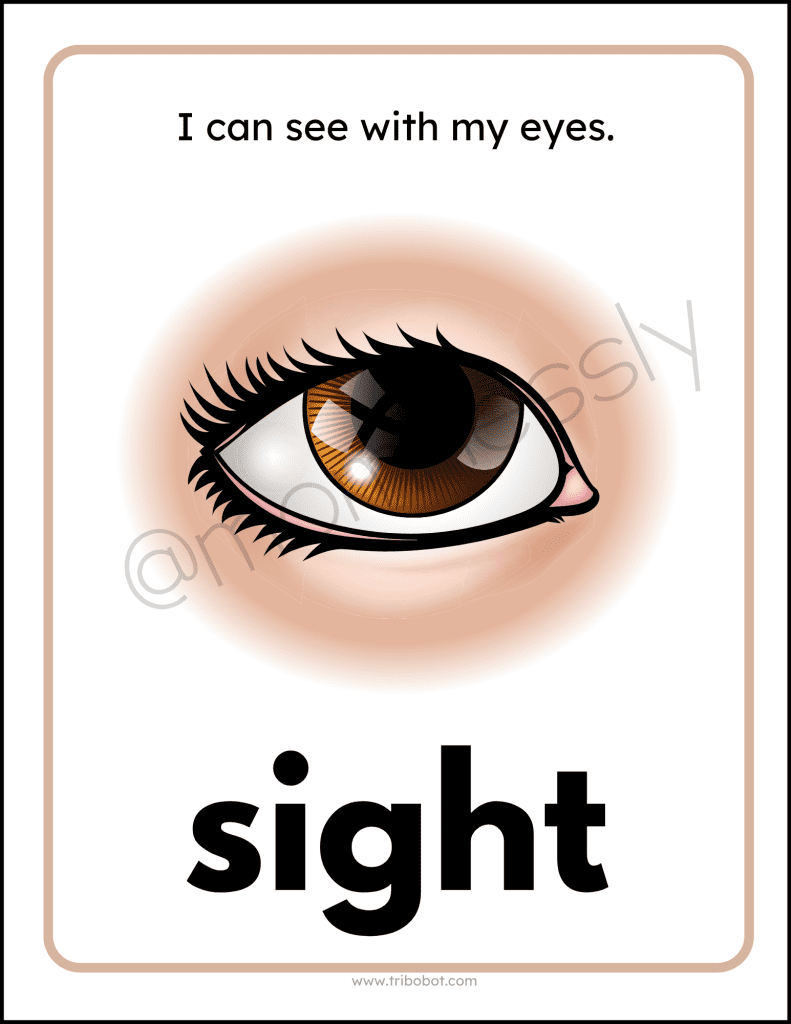 5 Senses Flashcards - Tribobot x Mom Nessly