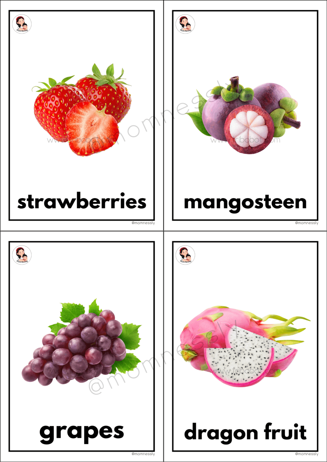 Real Fruits Flash Cards - Tribobot x Mom Nessly
