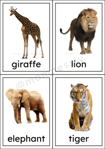 Wild Animals Flash Cards - Tribobot x Mom Nessly