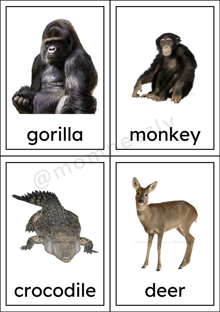 Wild Animals Flash Cards - Tribobot x Mom Nessly