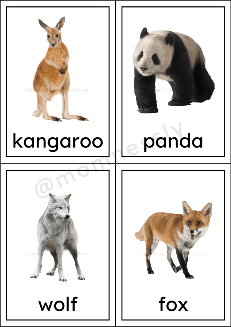Wild Animals Flash Cards - Tribobot x Mom Nessly